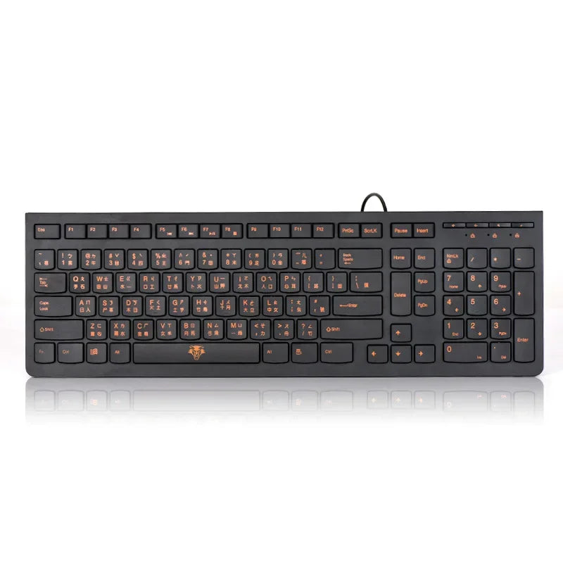 Cangjie Traditional USB Keyboard – Wired for Desktop – Tudoholic