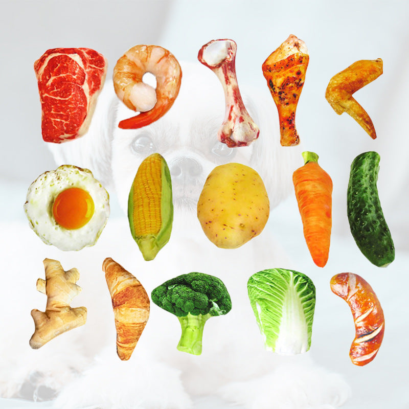 Plush Vocal Chicken Leg Toy – Educational Dog & Puppy Toy Nepal – Tudoholic